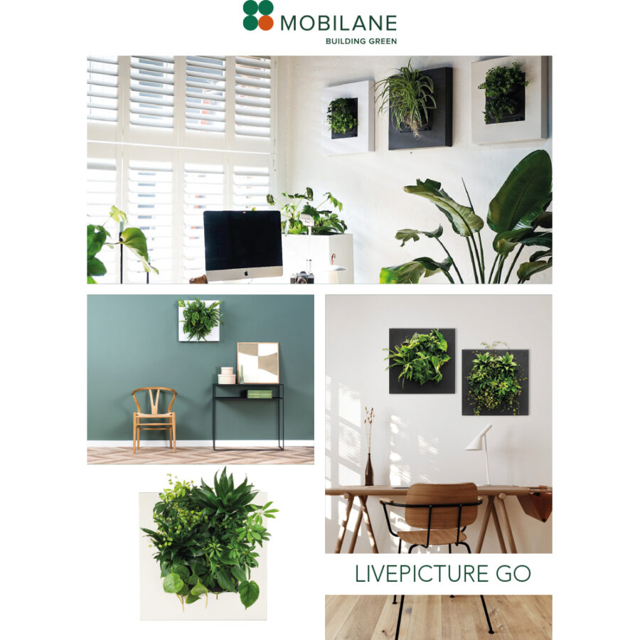 Mobilane Partner Portal | LivePicture GO – Factsheet